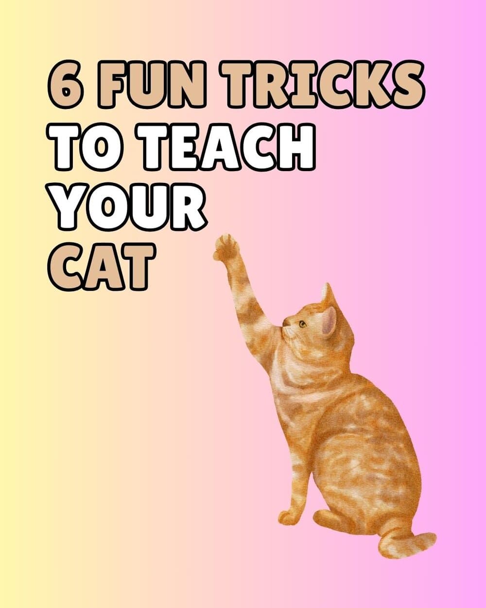 6 Fun Tricks You Can Teach Your Cat In Just Minutes