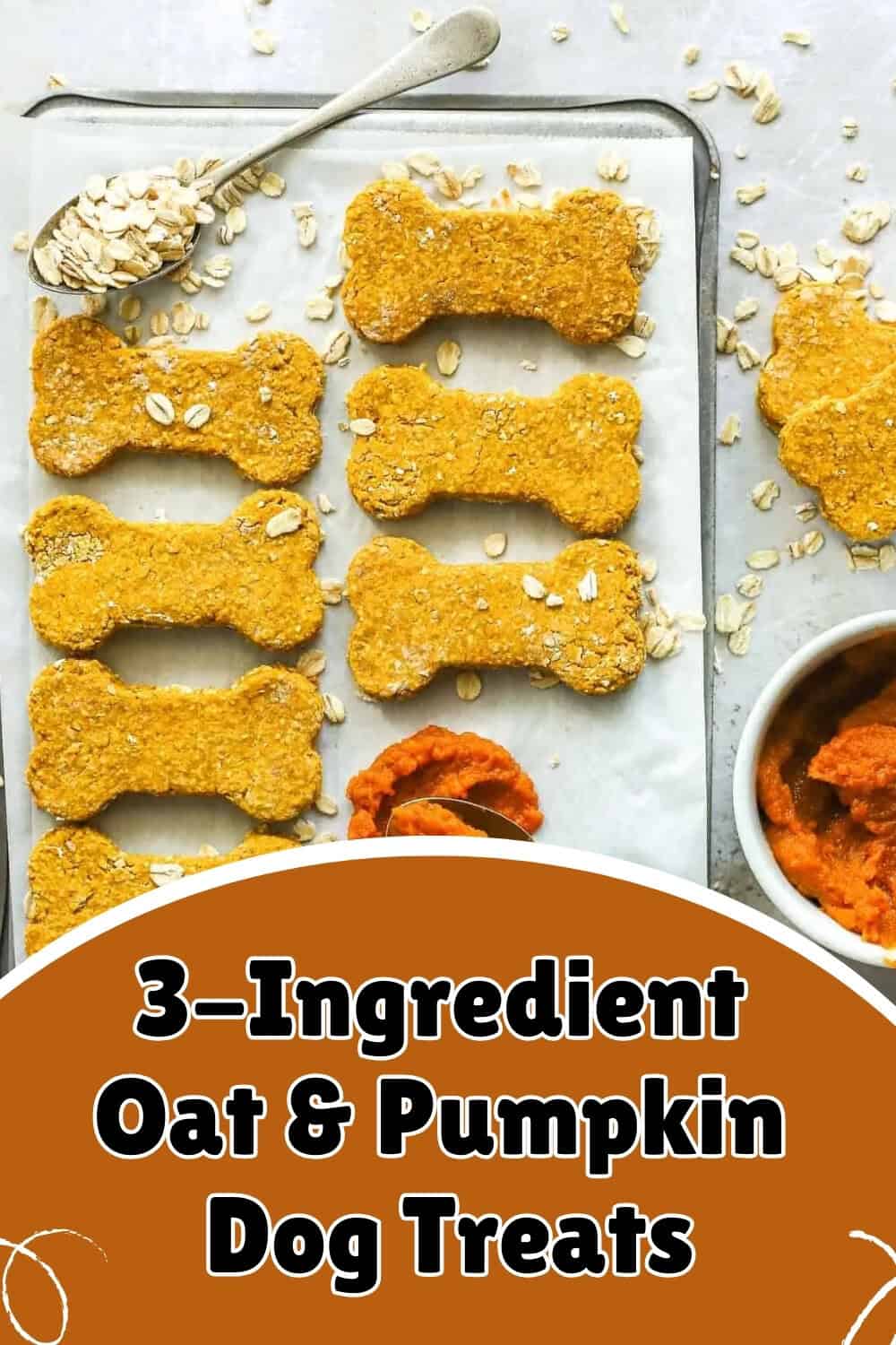 5 Homemade Oat Dog Treat Recipes – Pets Motherland