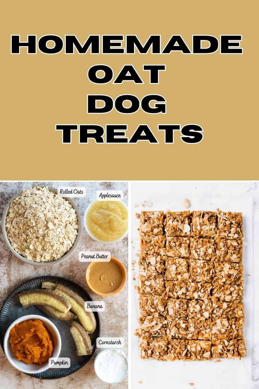 5 Homemade Oat Dog Treat Recipes – Pets Motherland