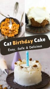 DIY Cat Birthday Cake – The Ultimate Treat for Your Furry Friend