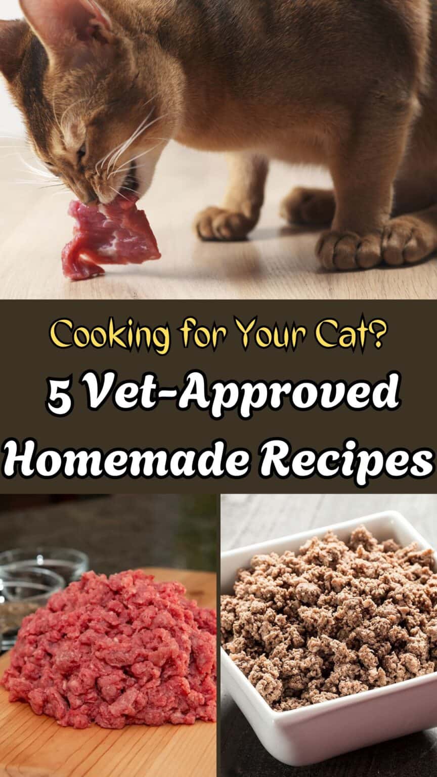 5 Irresistible Homemade Cat Food Recipes Your Feline Will Love