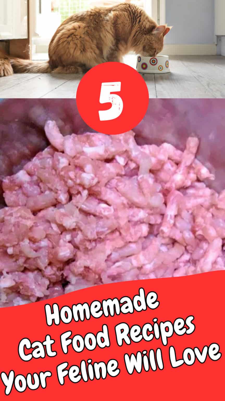 5 Irresistible Homemade Cat Food Recipes Your Feline Will Love