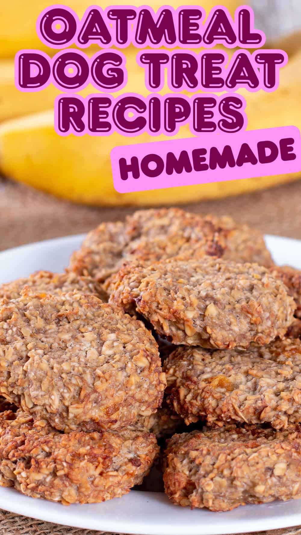 5 Homemade Oatmeal Dog Treat Recipes