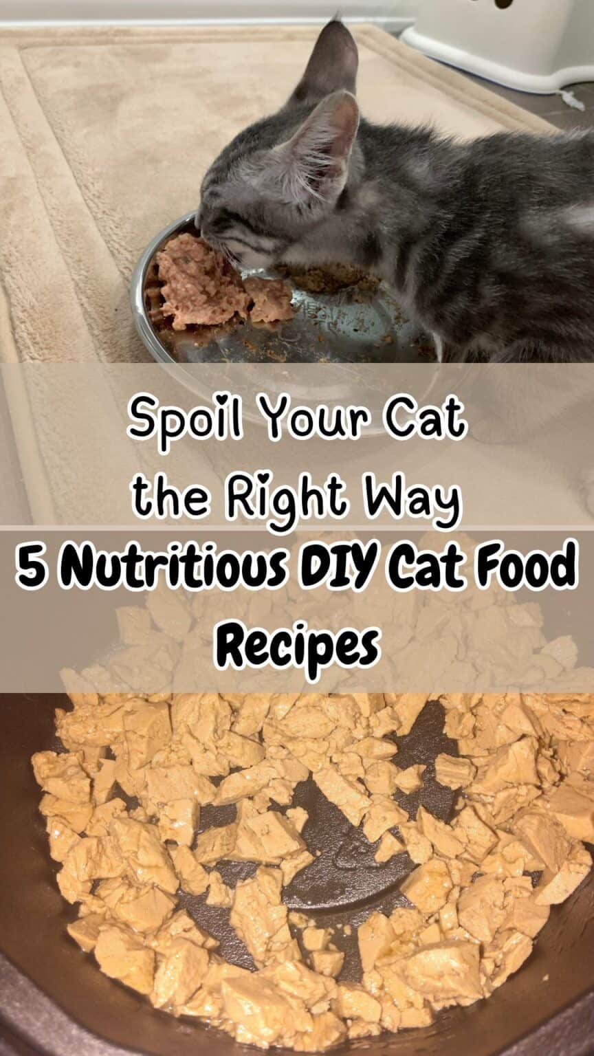 5 Irresistible Homemade Cat Food Recipes Your Feline Will Love