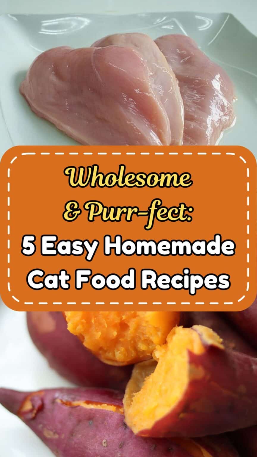 5 Irresistible Homemade Cat Food Recipes Your Feline Will Love