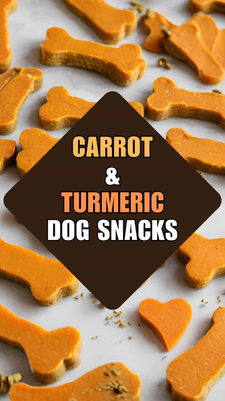 Golden Bites: The Best Homemade Turmeric Dog Treat Recipes
