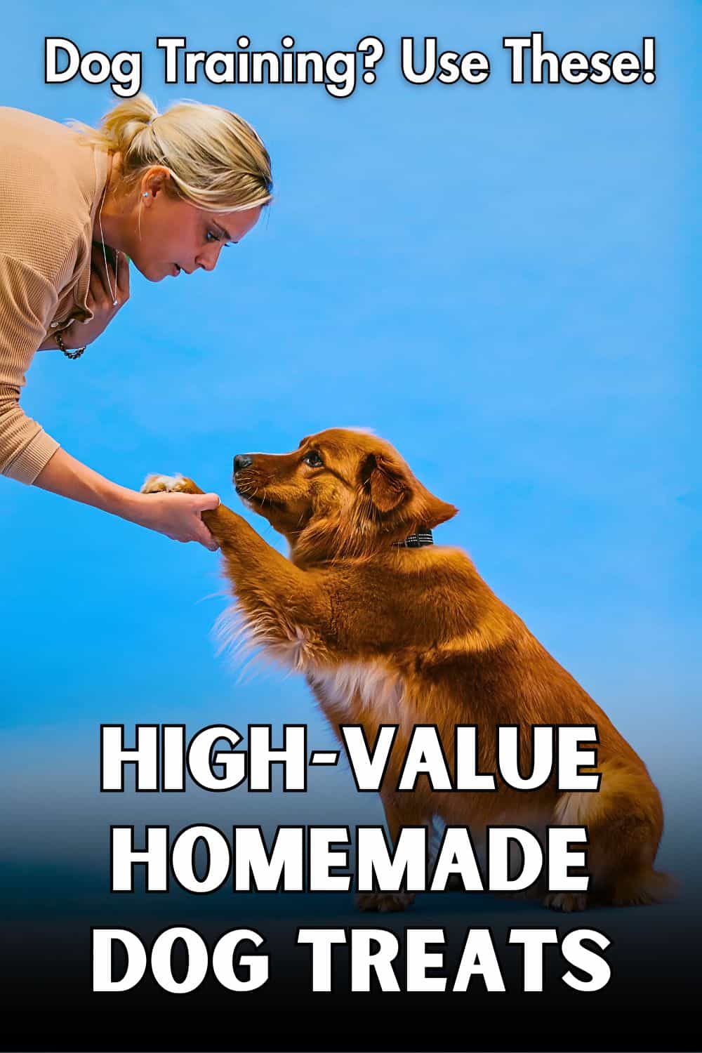 3 Homemade High-Value Dog Treats