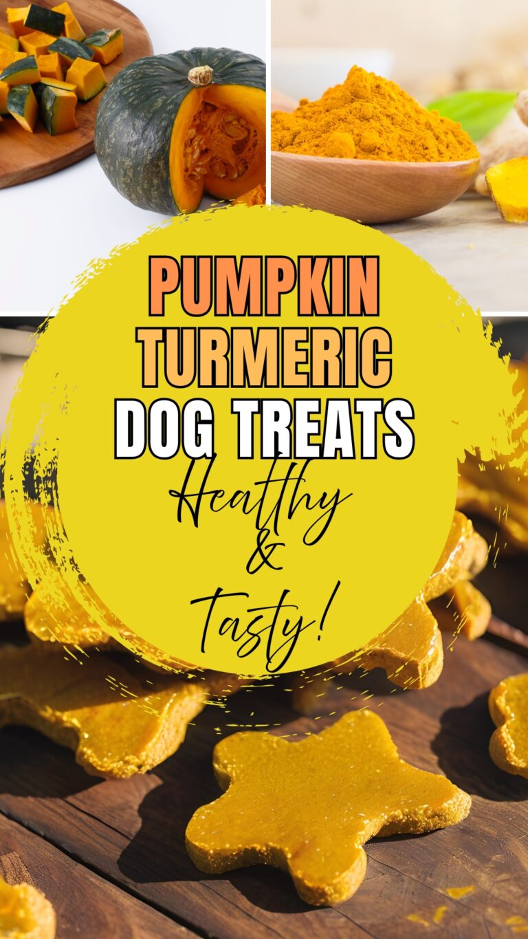 Golden Bites: The Best Homemade Turmeric Dog Treat Recipes